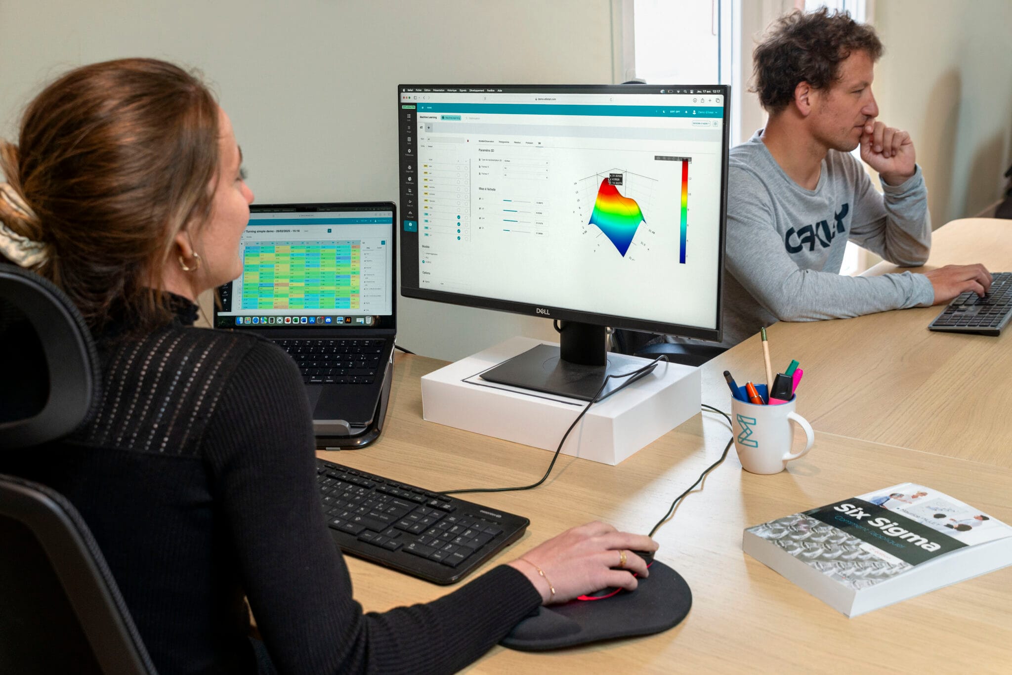 Data Analysis: powerful statistical analysis software - Ellistat